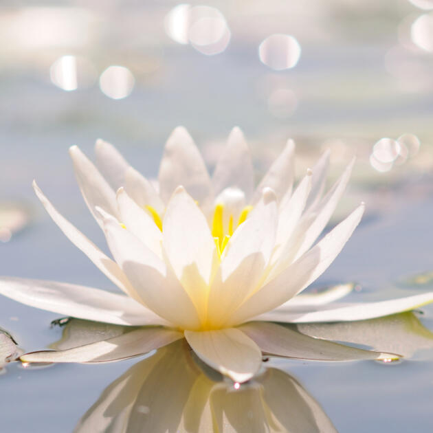 Emily Hayward, Healing Through The Heart